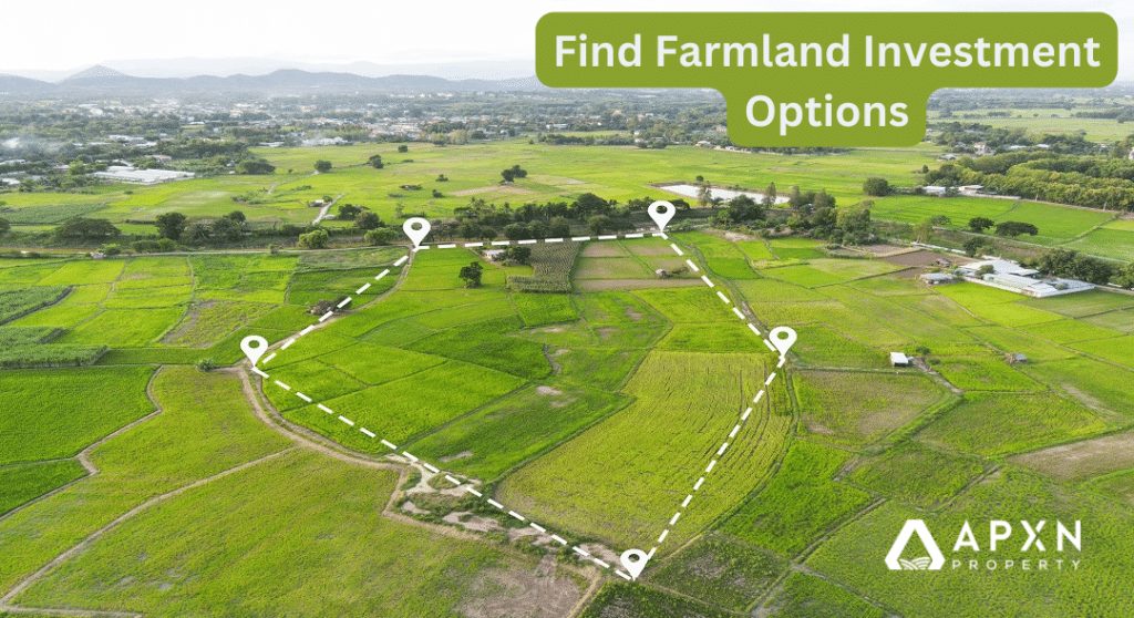 6 Easy Ways to Invest in Farmland in 2023